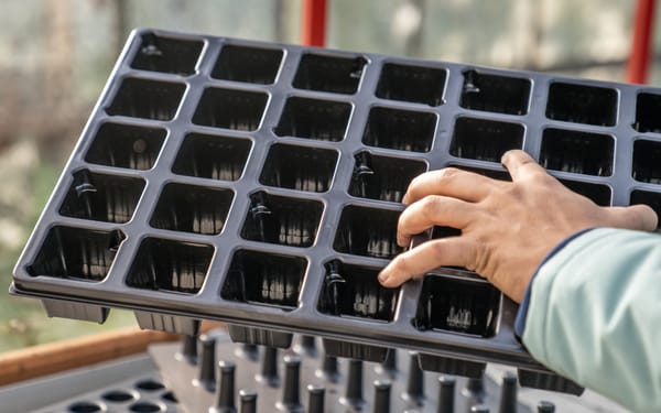 Multi-Topfplatte Quickpot QP 35