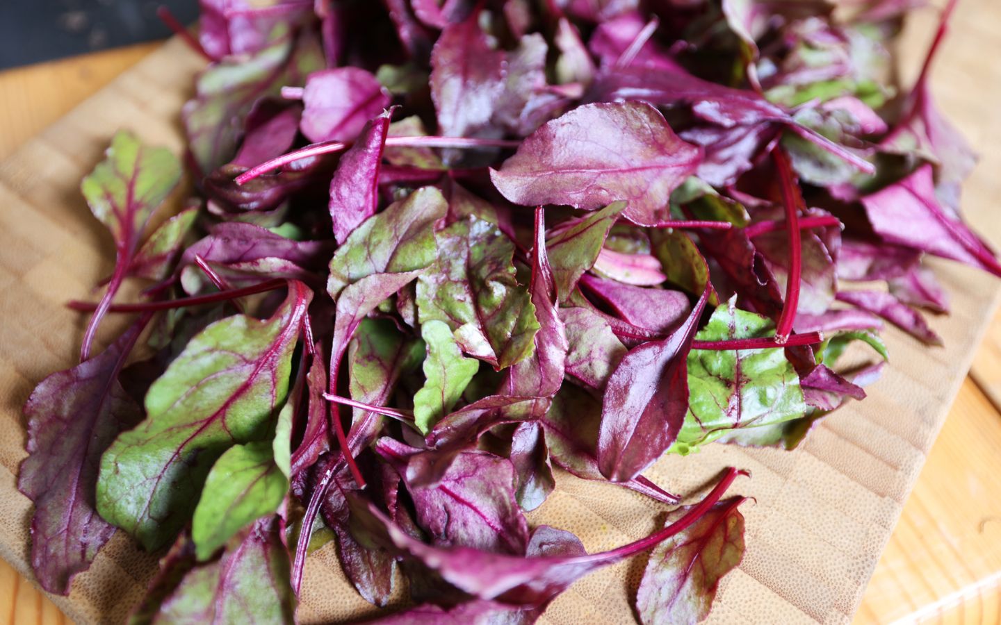 Saatgut - Borago